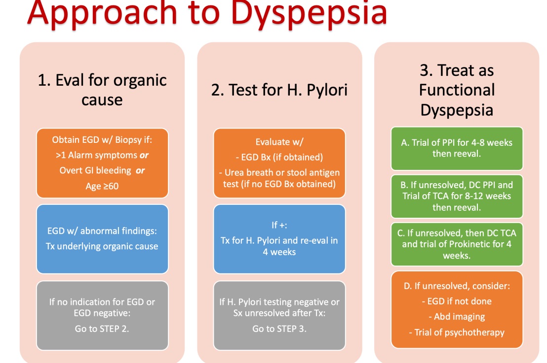 Dyspepsia: Causes, Symptoms and Natural Treatment